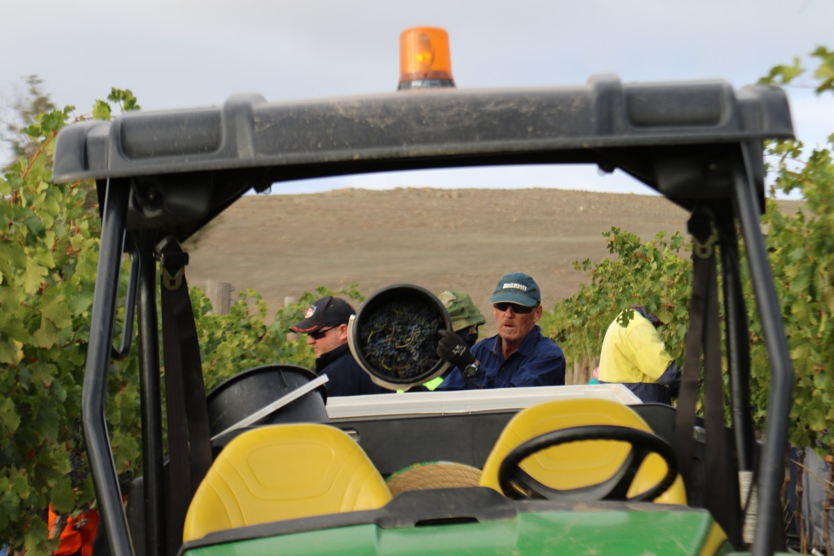 Grosset | around the world in 80 wines